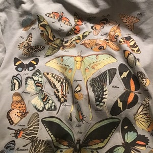 Cottagecore Birds and Flowers Shirt, Folk Art Scandi Art T Shirt, Plus ...