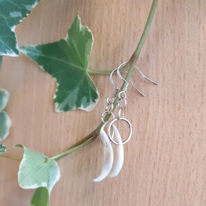 Real Mole Bone Displays. Bone Display. Mounted Mole Bones. | Etsy UK