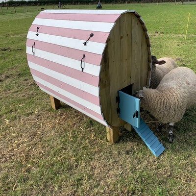 Egg-shaped Chicken Coop/hut for 12 Standard Chickens or 16 Bantams. the ...