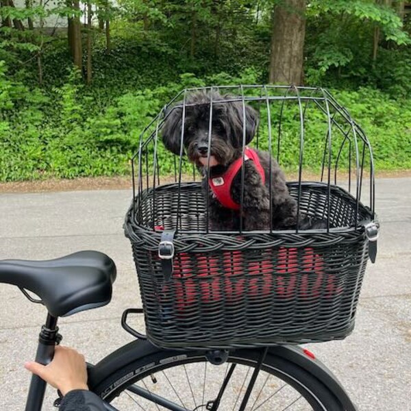 Rear Bicycle Basket Large Dogs, Handmade Wicker Bicycle Basket for a ...