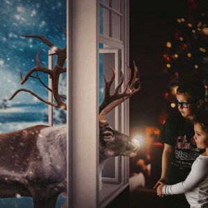 2 Reindeer Rudolf in a Christmas Window Digital Backgrounds Backdrops ...