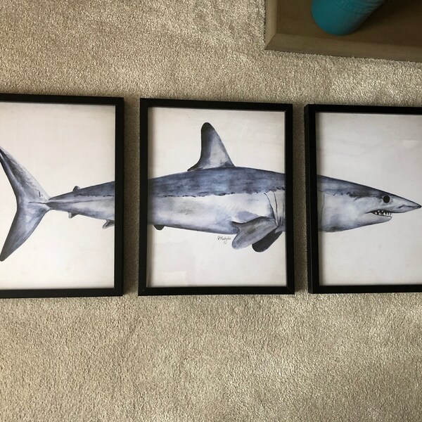PRINTABLE Mako Shark Watercolor Art Poster Set of 3, Mako Shark Art ...