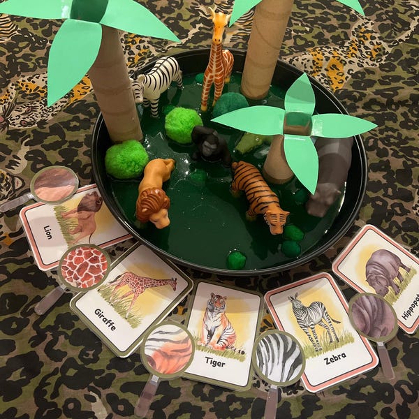 Rainforest Facts Flashcards | Jungle Animals Flashcards | With ...