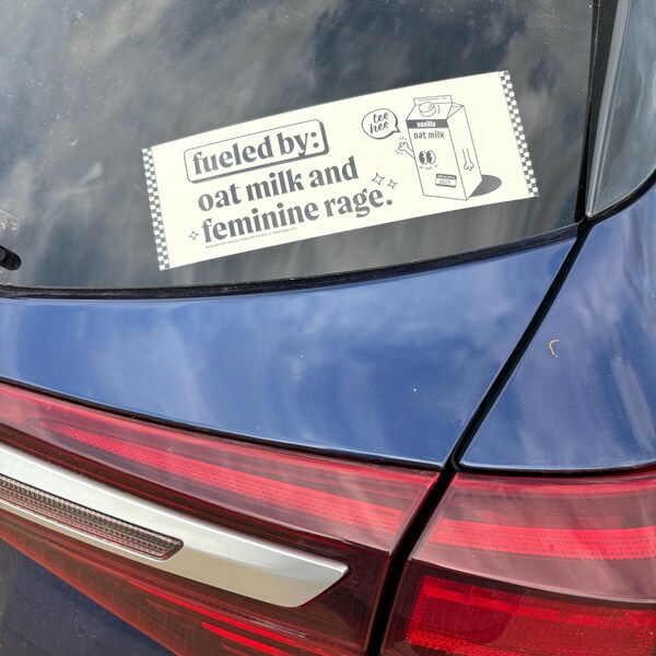 Feminism Sticker, Bumper Sticker, Feminist Gift, Retro Aesthetic Vinyl ...