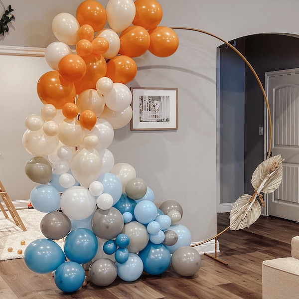 Bluey Balloon Backdrop, Let's Pawty Balloon Garland, Bluey Birthday ...