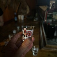 Set of 10 Plastic Shot Glasses With Custom Vinyl Sticker - Etsy
