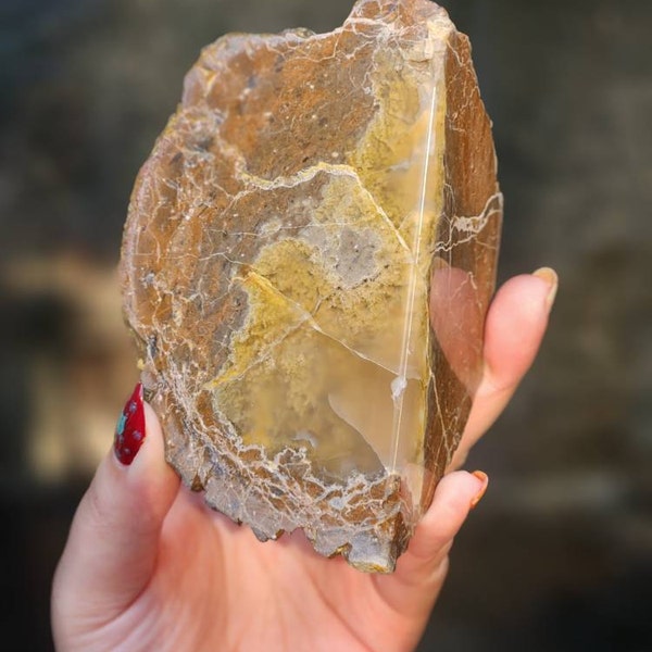 Golden Sard Agate Nodule, Fully Polished, Oregon - Etsy
