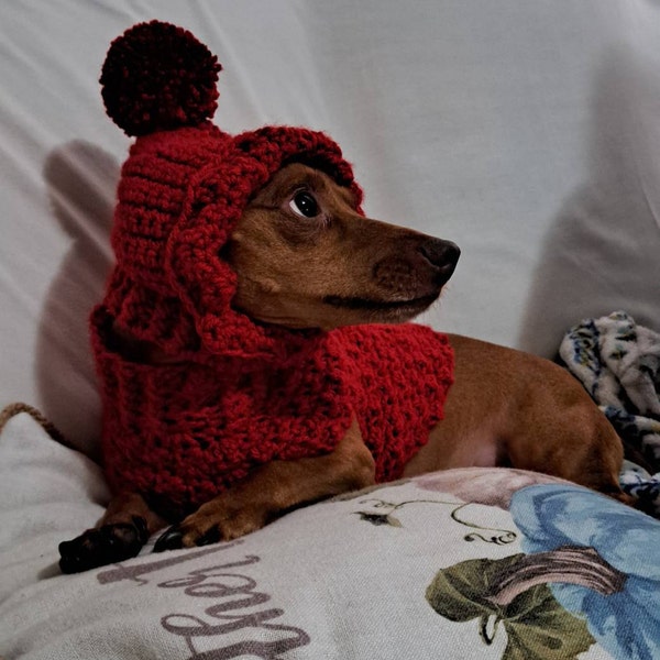 Crochet Dog Hood Pattern - Etsy