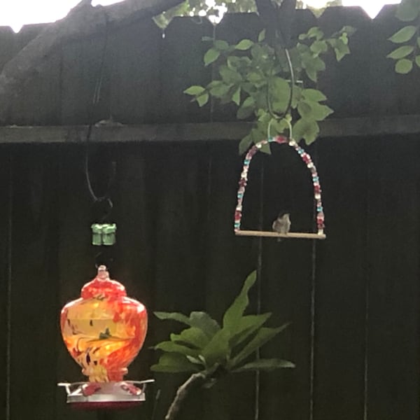 Set of 2 Hummingbird Swings Perches GREAT GIFT See Video - Etsy