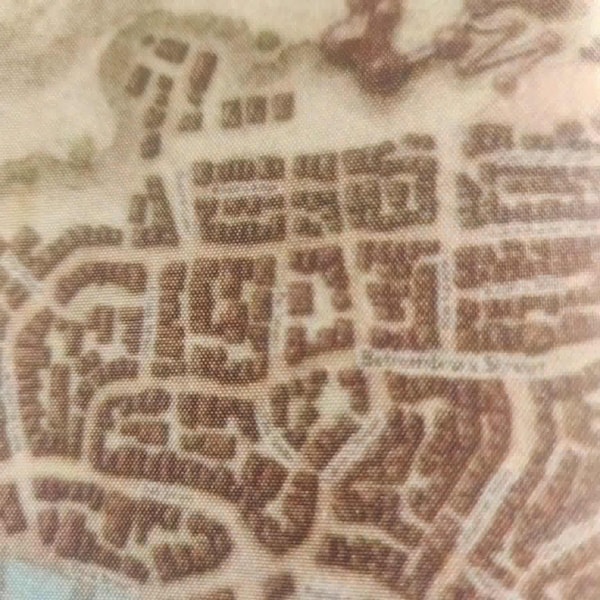 Map of Witchlight Carnival Indoor Wall Tapestry | Colored RPG Dungeons ...