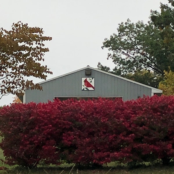 4'x4' IH Barn Quilt - Etsy