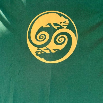 Vector YIN YANG, Lizard, AI, Eps, Pdf, Svg, Dxf, Png, Jpg Download ...