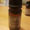 DORIAN Perfume Oil 5ml I Gothic Victorian Inspired - Etsy
