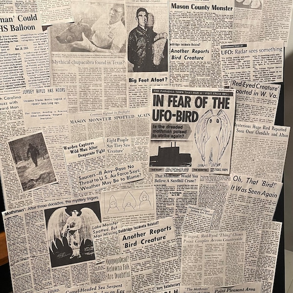 Cryptidcore Photo Prints | Bigfoot Frogman Mothman Cryptid Aesthetic ...