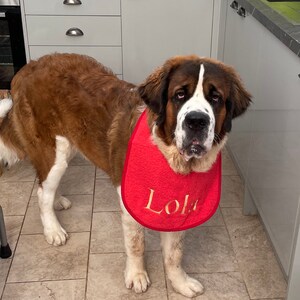 Slobber Drool .bibs Personalised With Your Pets Name Great - Etsy