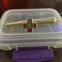 Avoid the Noid Dominos Pizza Mascot Lapel Pin - Etsy Canada