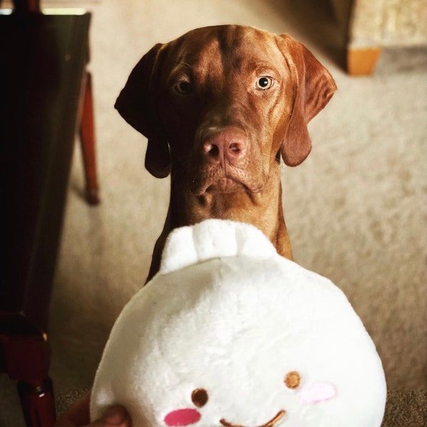 Cute Xiao Long Bao Dog Toy With Squeaker | Cute Kawaii Chinese Dumpling ...
