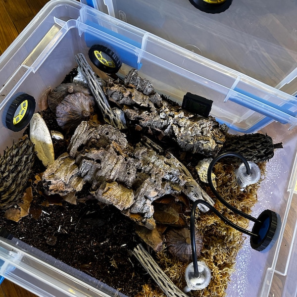 Feed/mist Port Vents for Isopods, Millepedes, Spiders and Many Other ...