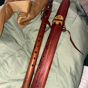 Snapping Turtle Shell Maraca Rhythm Percussion Instrument - Etsy