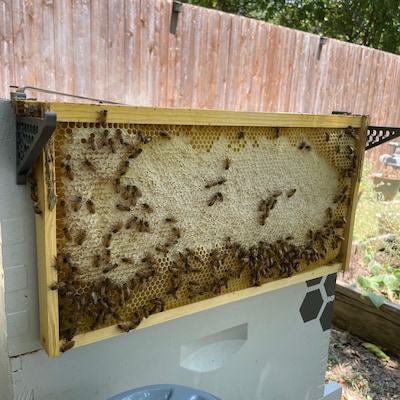 Pocket Sized 2 Frame Bee Hive Frame Holder for Beekeeping Inspections ...