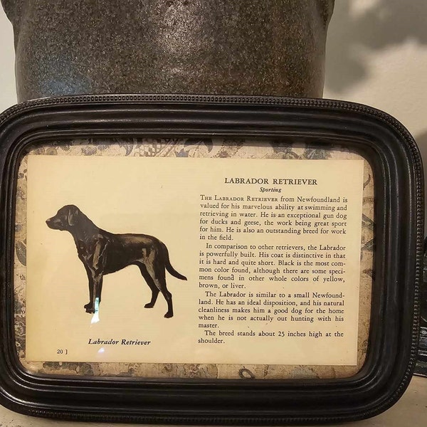 1936 Labrador Retriever Poem Print Vintage Sweet Labrador Retriever Dog ...