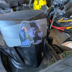 Decal Sticker Brmc Skull adventure easy rider freedom | Etsy