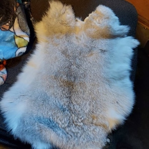 GENUINE WILD ANIMAL Pelt High Quality 1st Class Red Silver | Etsy