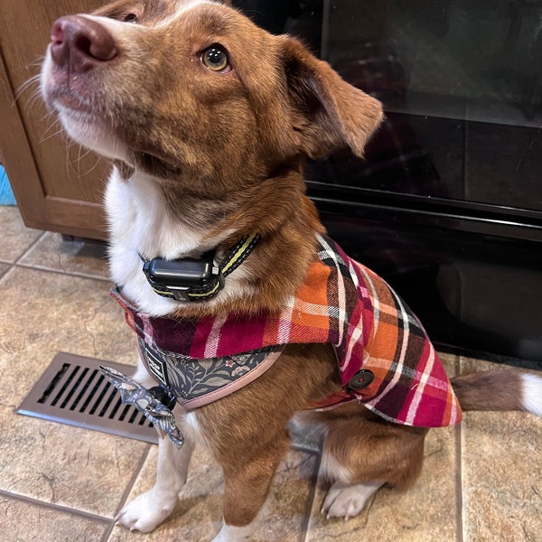 Medium Dog Coat PDF Pattern/tutorial - DIY Dog Jacket - Medium ...