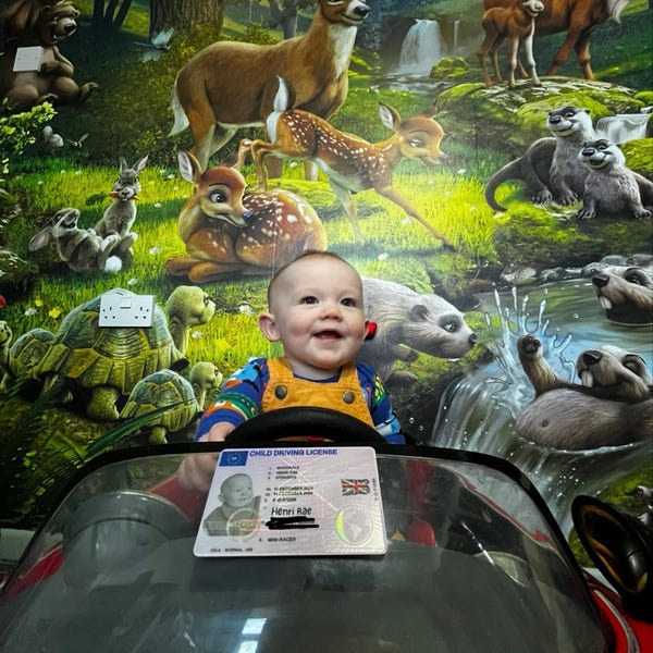 Personalised Spacex Astronaut Cosplay ID Space X Astronaut ID Badge ...