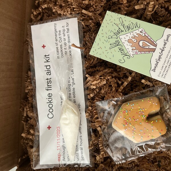 3 Rex Dinosaur Party Cookies -birthday Dino Party -partysaurus Cookies ...