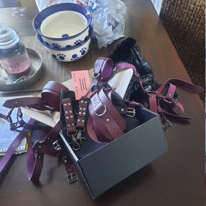 Elastic Body Harness Set Crotchless Panties Elastic - Etsy