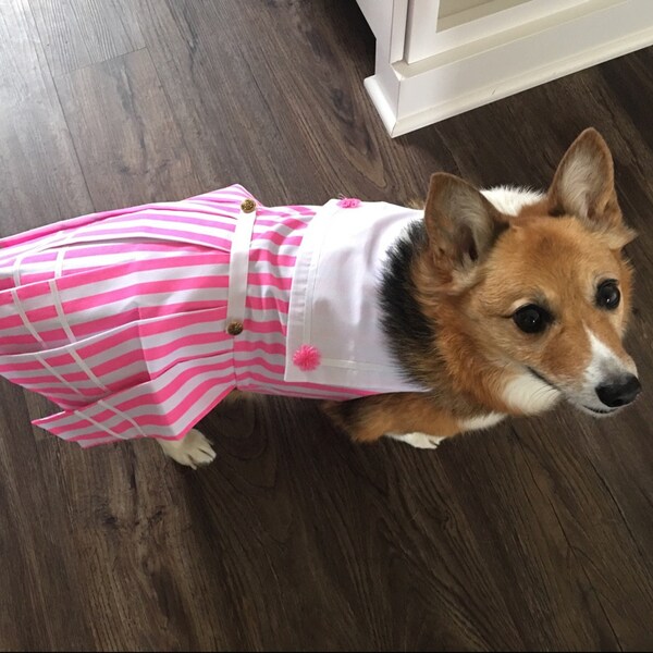 Sailor Dog Dresses for Small Breed Dogs, Designer Dog Clothes, Custom ...