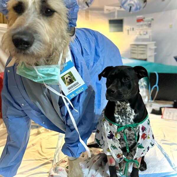 Music Program Template | Student Recital | Piano Recital Booklet ...