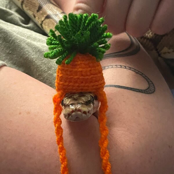 Tiny Reptile Hat, Hat for Hamster, Small Lizard Hat, Clothes for Pets ...