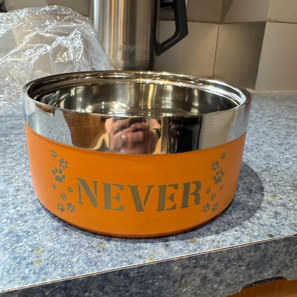 Gamelles gravées en acier inoxydable pour chien et chat avec nom ...