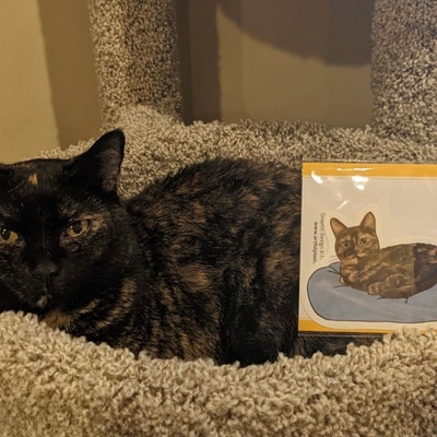 Tortoiseshell Cat Sticker 4.14x3 In, Tortie Cat Sticker, Hand Drawn Art ...