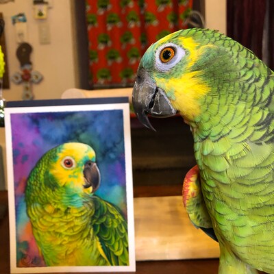 Yellow Headed Amazon Art Print Photo Paper Poster Parrot Wall Art Bird ...