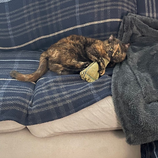 Large Tartan Catnip Kicker-kitty Kickers-handmade Tweed Cat Toy-catnip ...