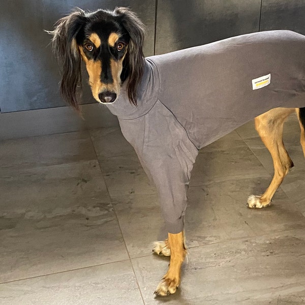 GreyhoundWardrobe - Etsy