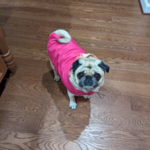 Pug Snuggly's Snow Patrol/winter Coat With Thinsulate - Etsy