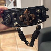 XL Bully Collar, American Bully Padded Collar, Pocket Bully Collar ...