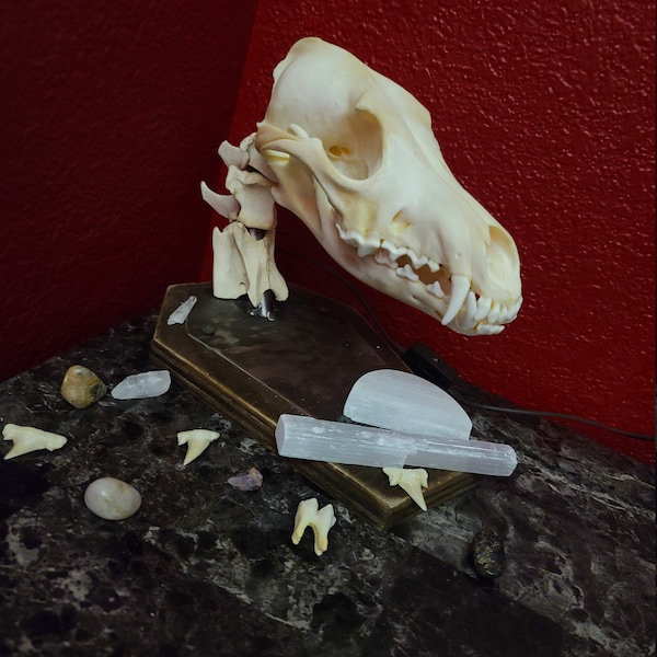 Hand Forged Iron Crown - Etsy