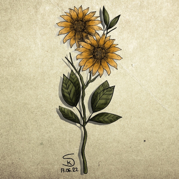 Procreate 3D Clothes Models, 3D Tshirt Model, 3D Hoodie Model, 3D Hat ...