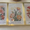 State Flower Print Bundle, Wall Art Print 50 US States, Flower Market ...