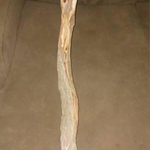 57" Diamond Willow (2~YOU Carve trekking Sticks) Walking Stick ...