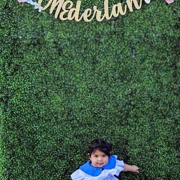 Personalized Name in Onederland Party Decorations, Custom in Onederland ...