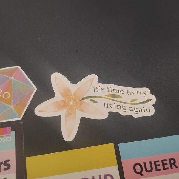 My Chemical Romance Three Cheers for Sweet Revenge Sticker Sheet - Etsy