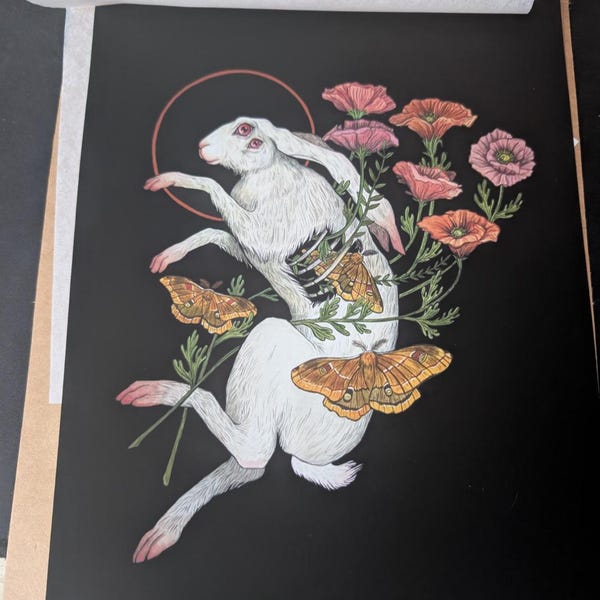 White Rabbit With Poppy Flowers- Giclee Print From Original Hand ...