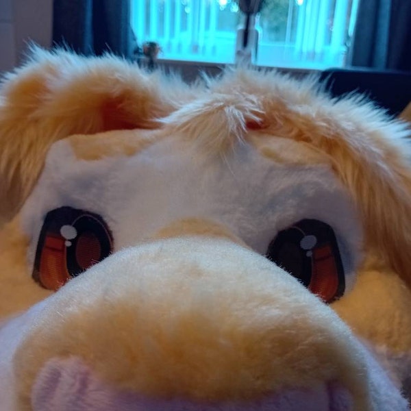 Toony Fox Fursuit Costume Expanding Foam Head Base - Etsy