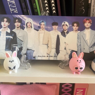 Stray Kids Skzoo Mini 3D Print Figures - Etsy